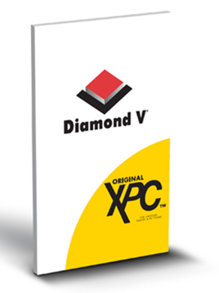 Diamond V – F.E Venture